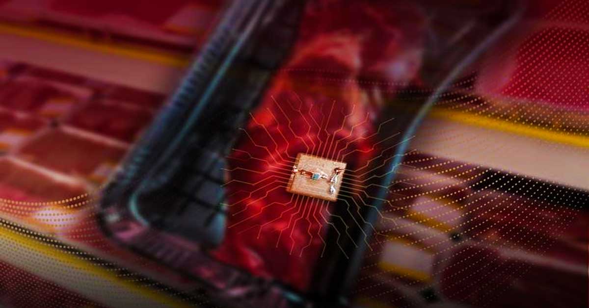 Say Goodbye to Wasted Meals - Koç University's Sensor for Preventing ...