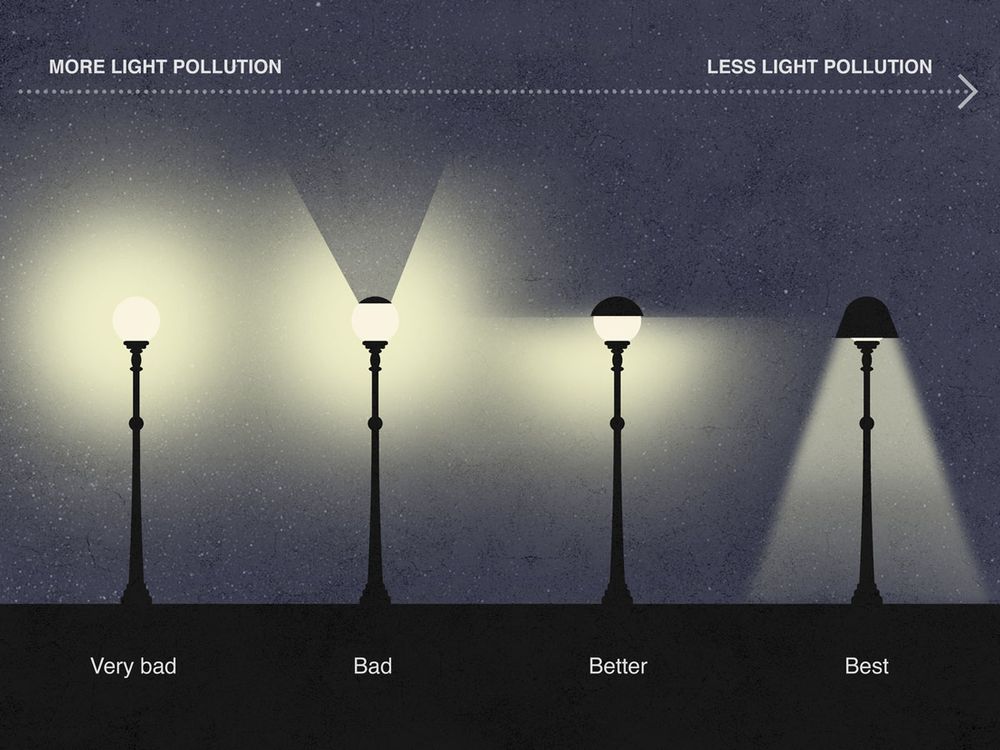 Are We Losing the Night Sky? The Rise of Light Pollution
