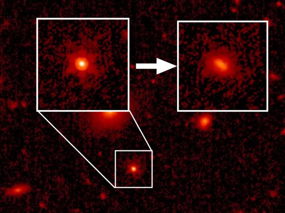First-Ever Starlight Detection in Quasar Host Galaxies