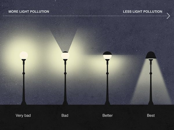 Are We Losing the Night Sky? The Rise of Light Pollution